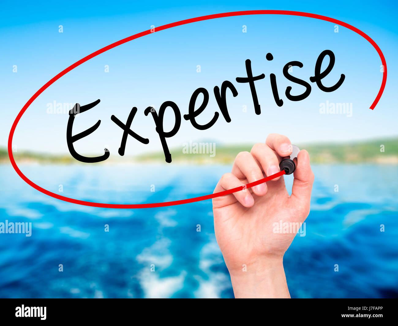 Man Hand writing Expertise with black marker on visual screen. Isolated ...