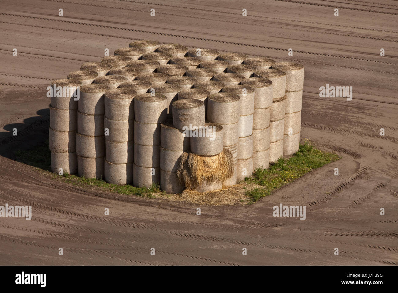 straw bales in the field Stock Photo - Alamy