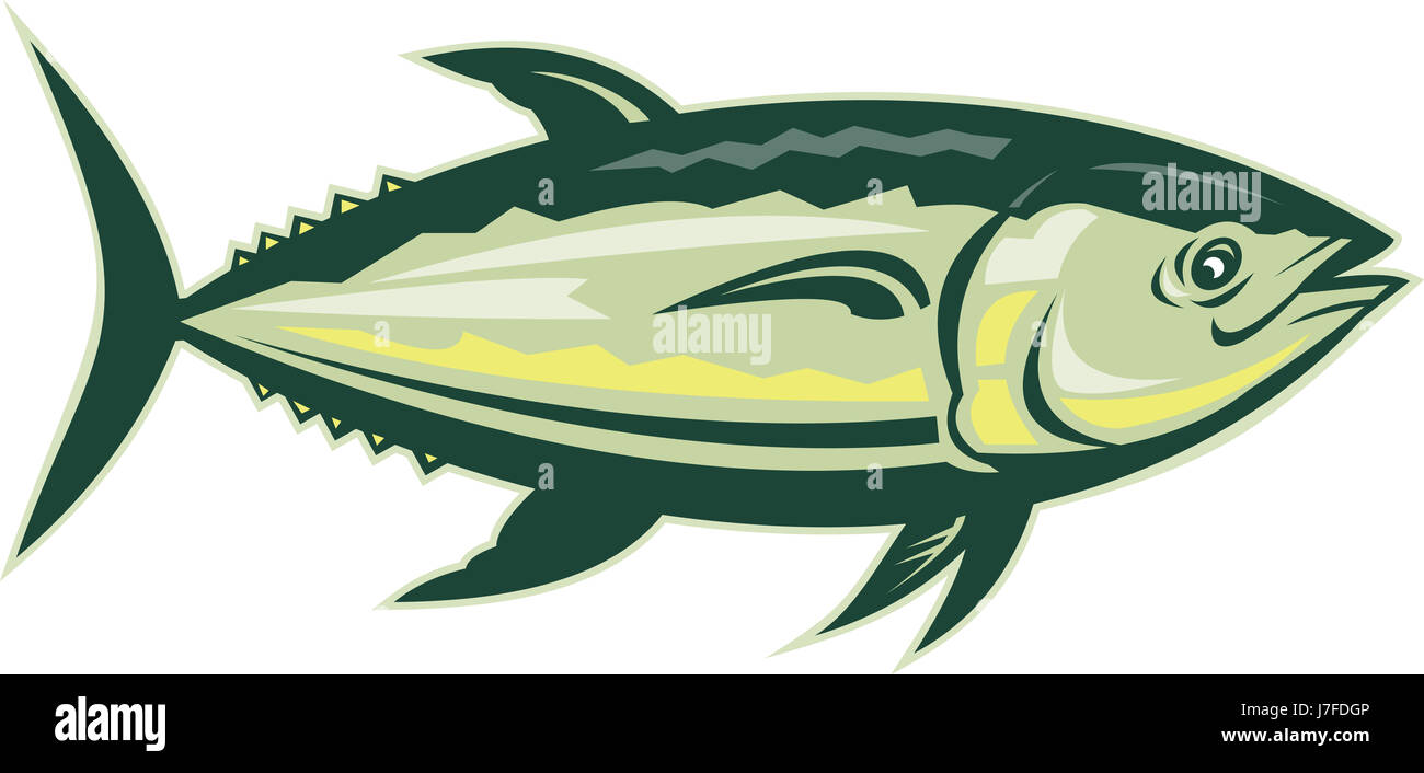 blue fish illustration fin retro tuna tunny isolated fish illustration ...