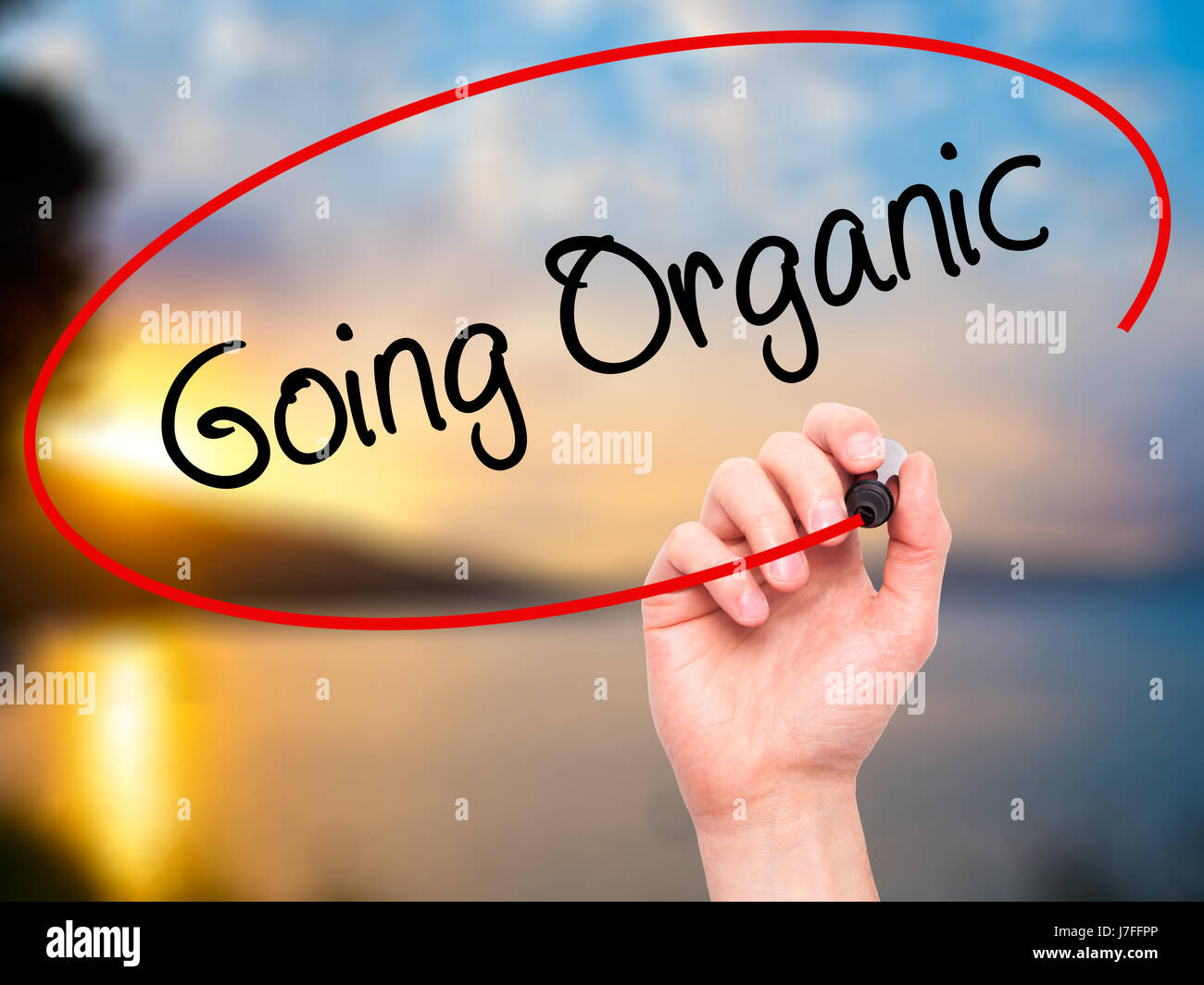 Man Hand writing Going Organic with black marker on visual screen ...