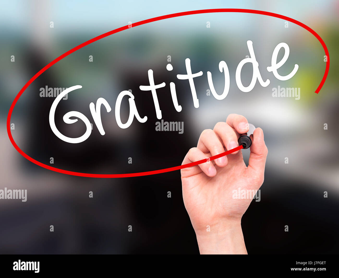 Man Hand writing Gratitude with black marker on visual screen. Isolated ...