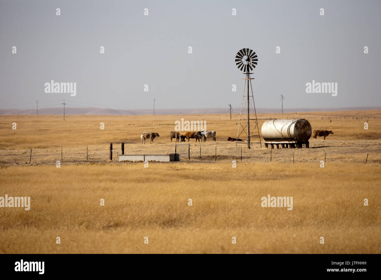 windmill on a pasture usa Stock Photo - Alamy