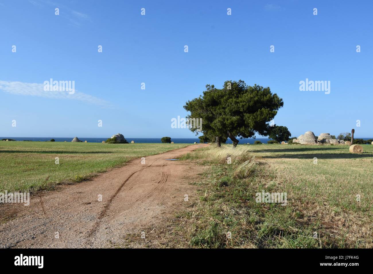 Puglia country hi-res stock photography and images - Alamy