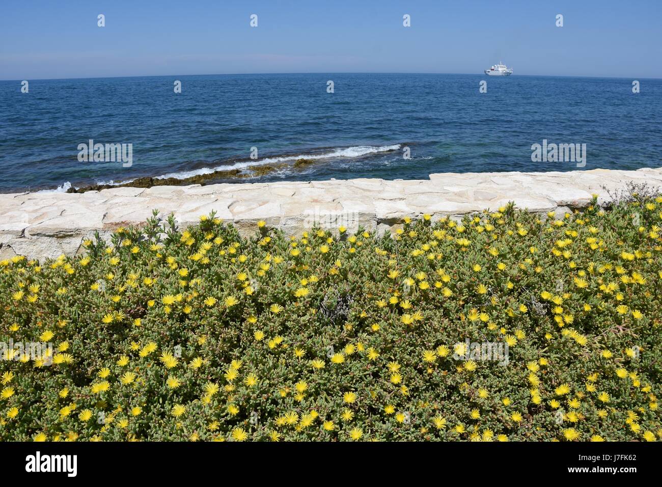 flowers and sea Stock Photo - Alamy