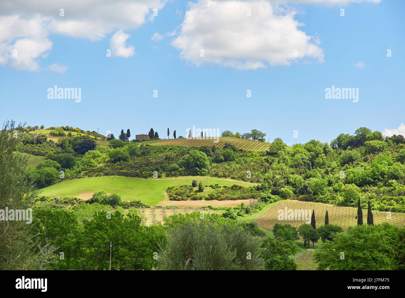 Tuscany landscape in springtime, Toscana, Italy Stock Photo - Alamy