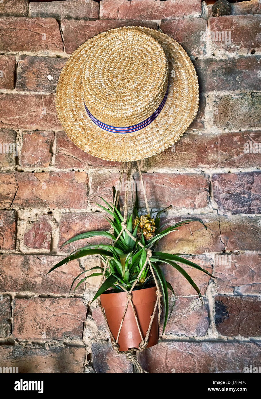 wall decoration in Pienza, Italy, hat and flower pot Stock Photo - Alamy