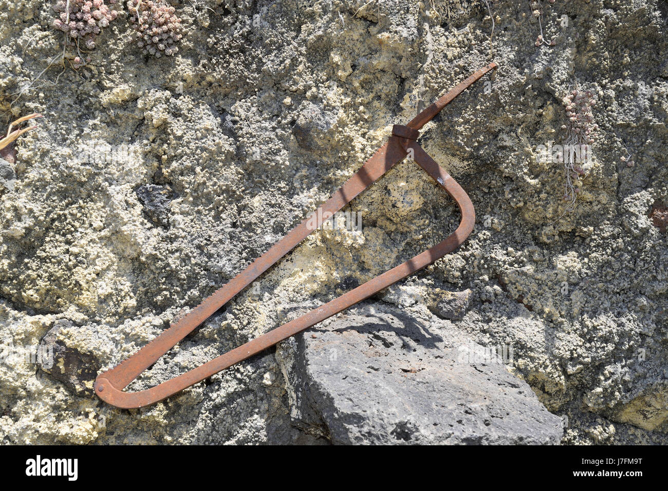 Old rusty saw Stock Photo - Alamy