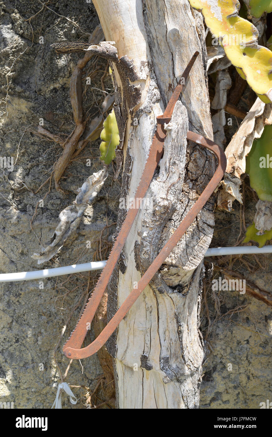 Old rusty saw Stock Photo - Alamy