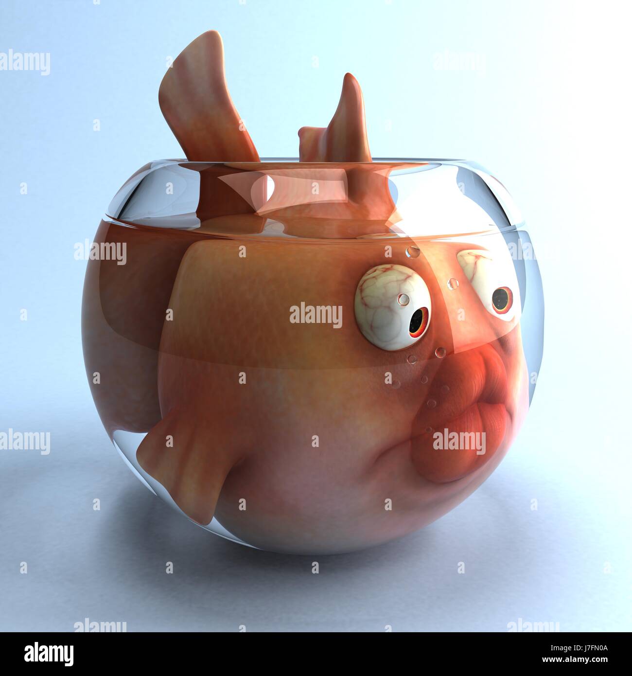 animal fish freedom liberty illustration sushi goldfish prison glass ...