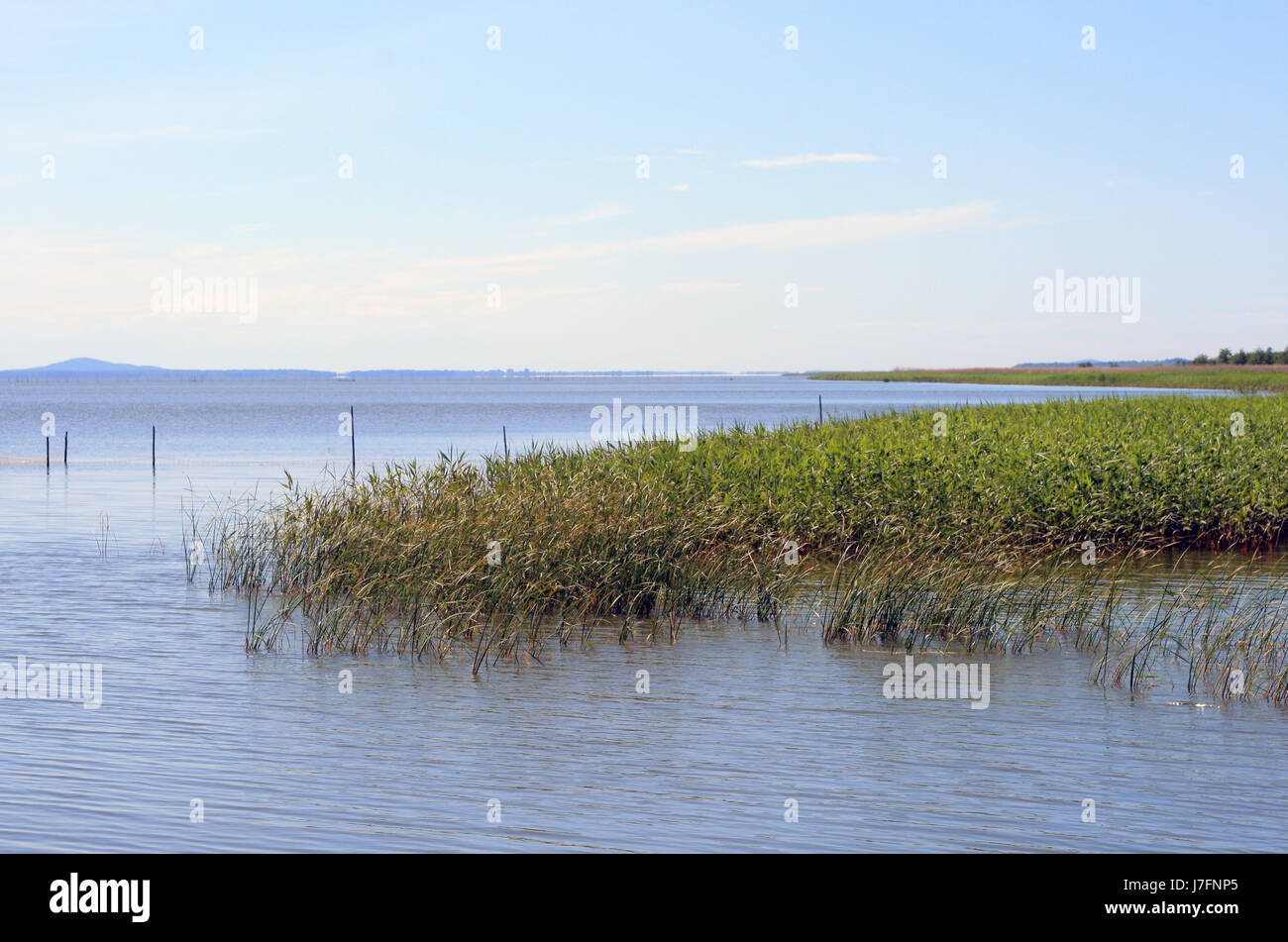 park summer summerly fresh water lake inland water water landscape ...