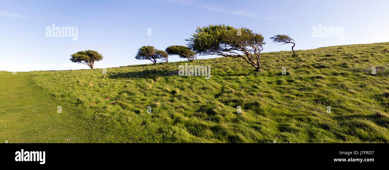 Brean down climb hi-res stock photography and images - Alamy
