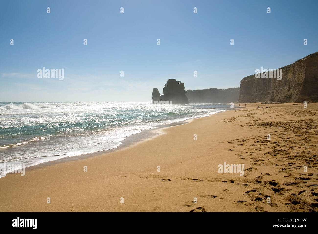 humans human beings people folk persons human human being beach seaside ...