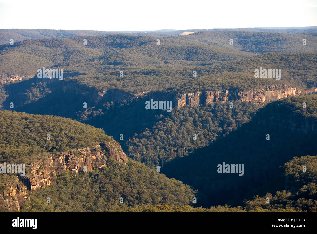 tree rock australia native sandstone blank uninhabited deep terrain ...