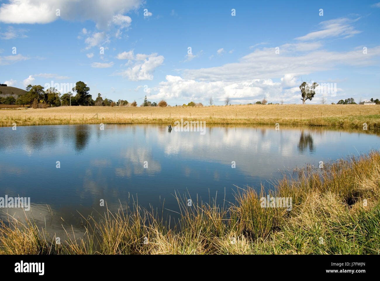 blue environment enviroment tree trees agriculture farming reflection ...