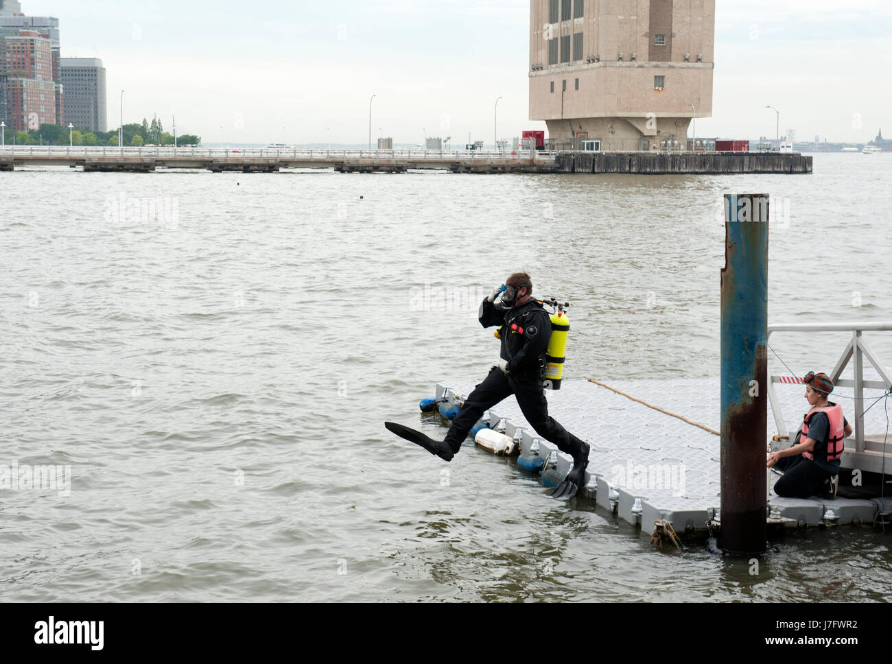 A scuba diver jumps into the Hudson River to search for the fish that ...