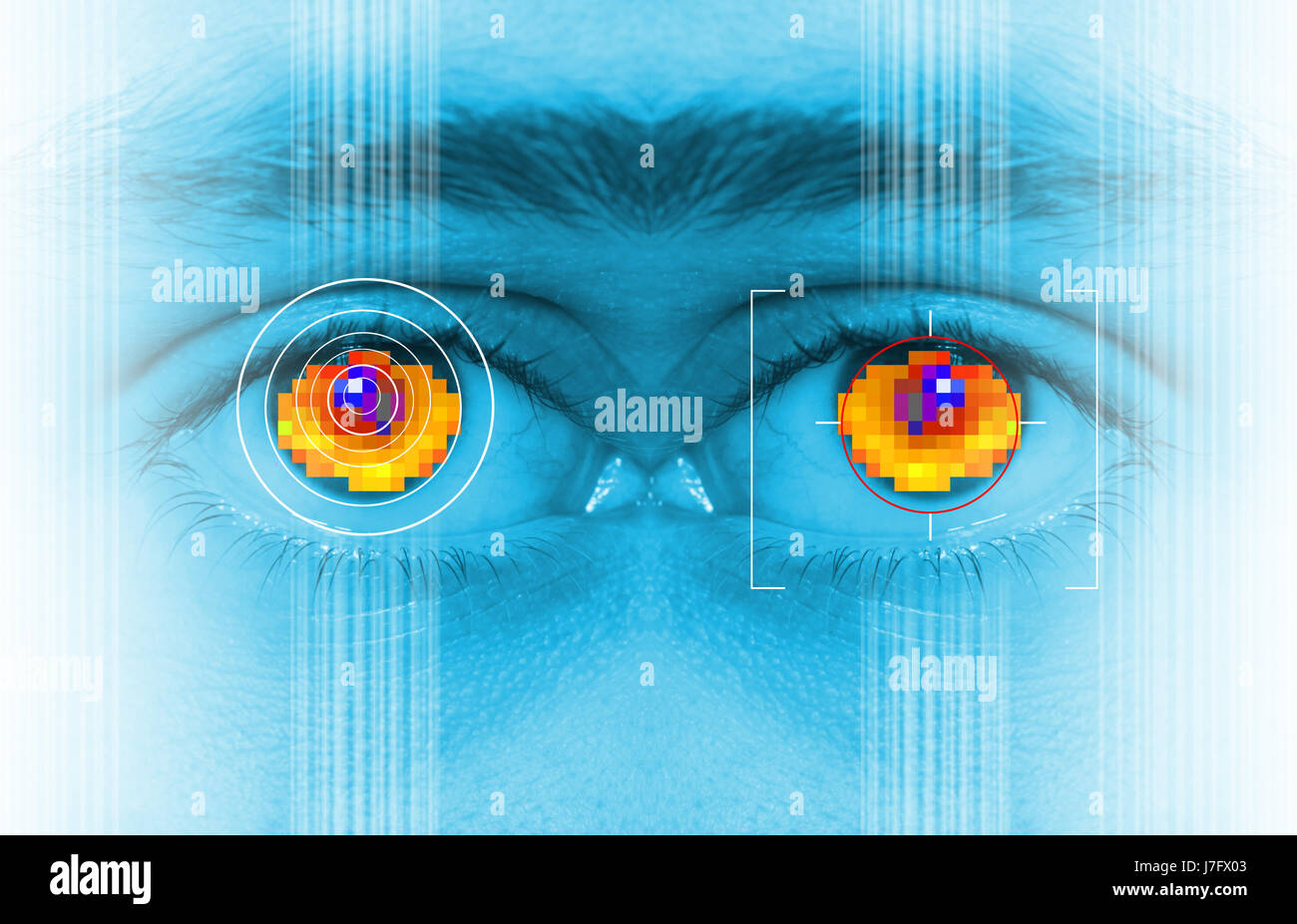 eye organ data informations substratums facts information knowledge ...