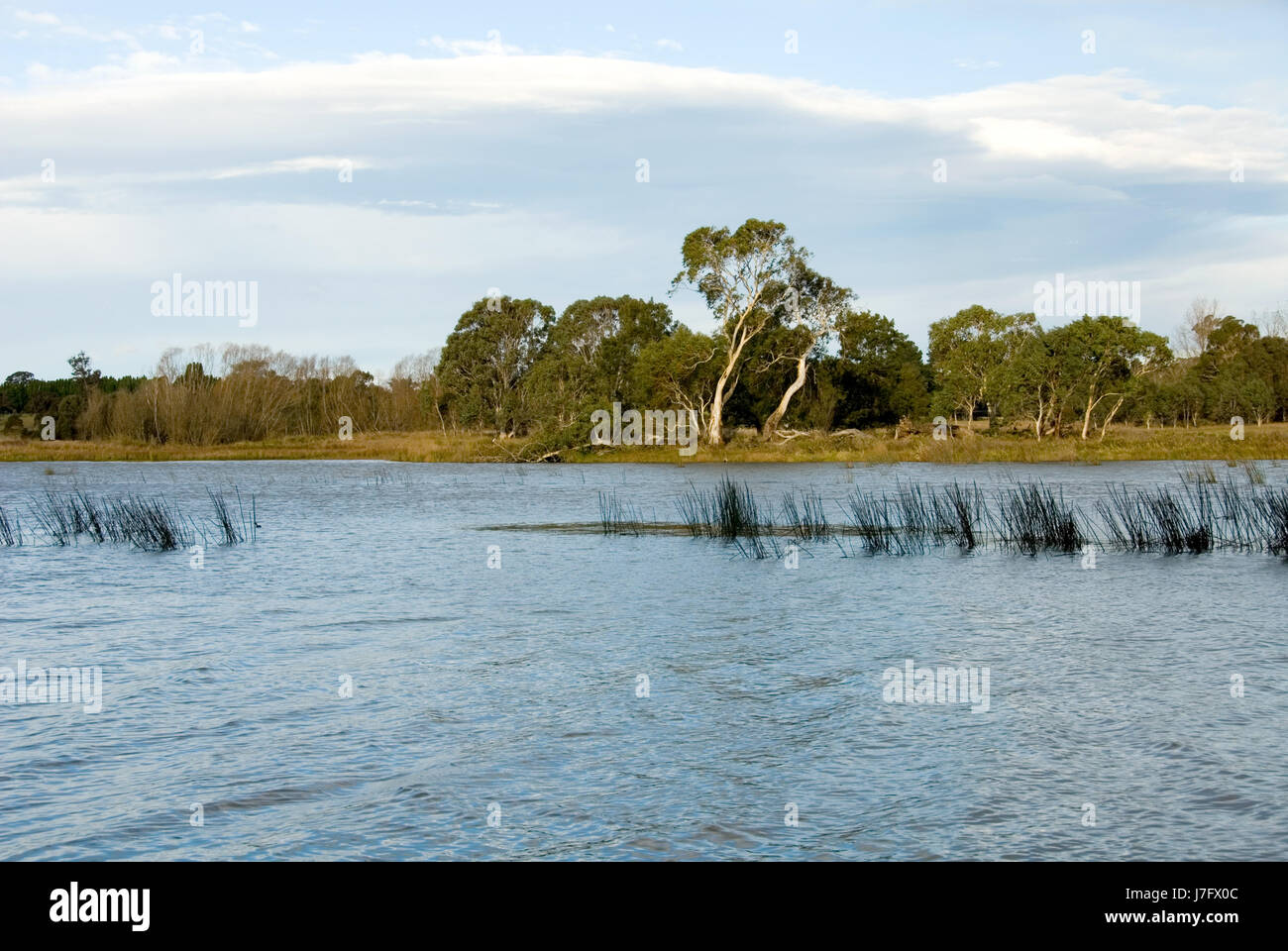 Wingecarribee dam hi-res stock photography and images - Alamy