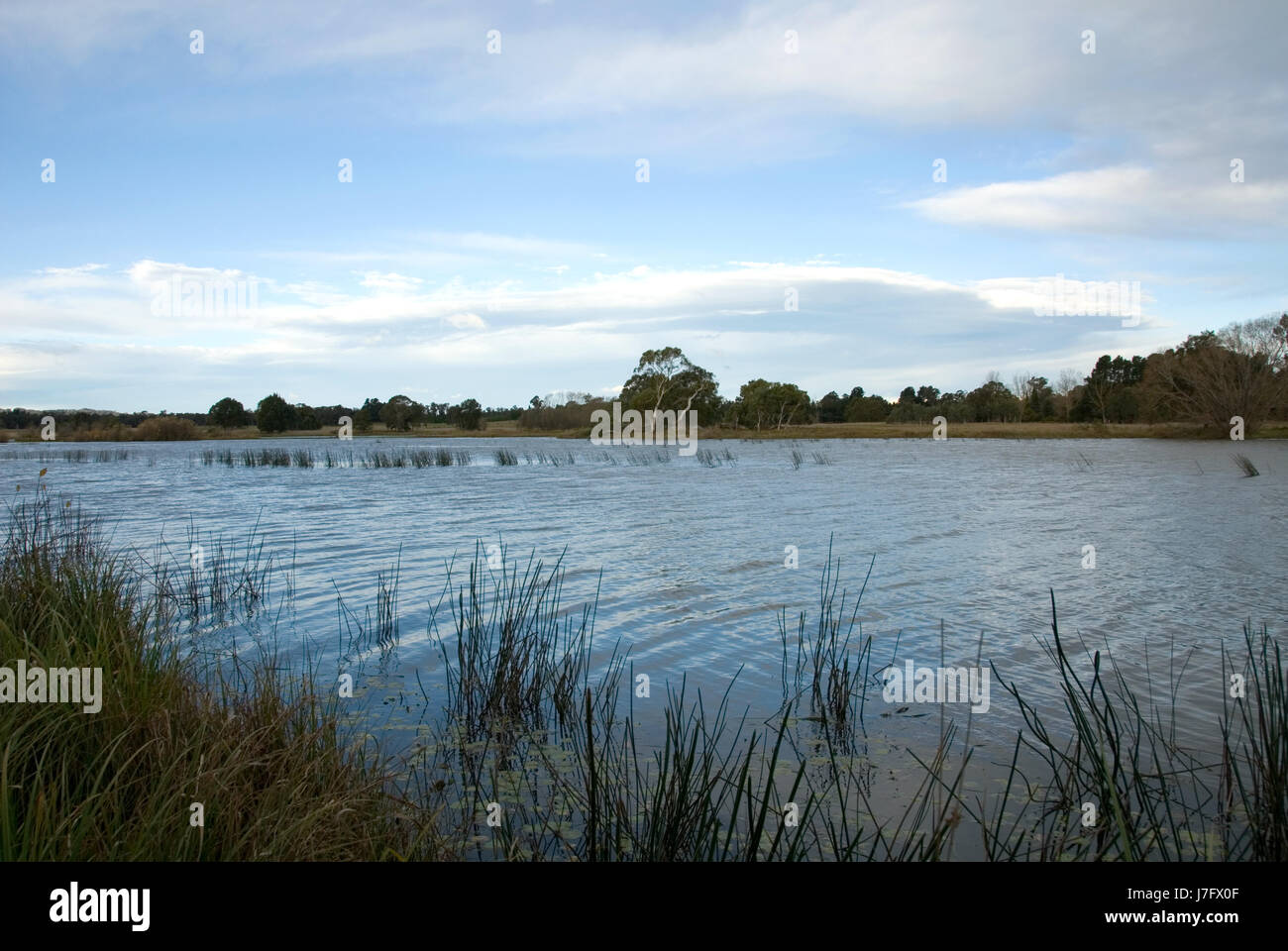 Wingecarribee dam hi-res stock photography and images - Alamy