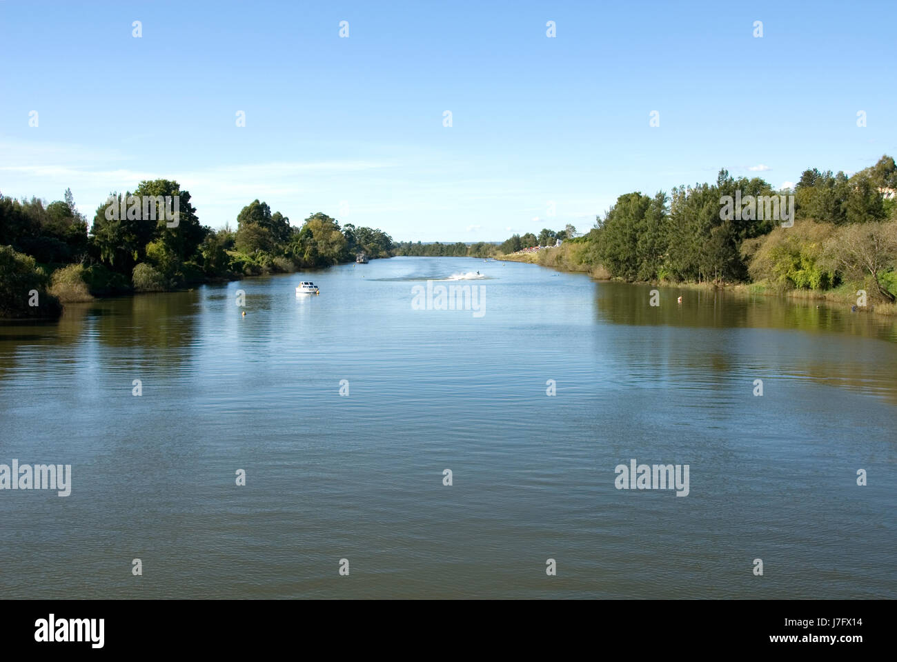 blue tree trees stream australia peaceful fresh water water waterway ...
