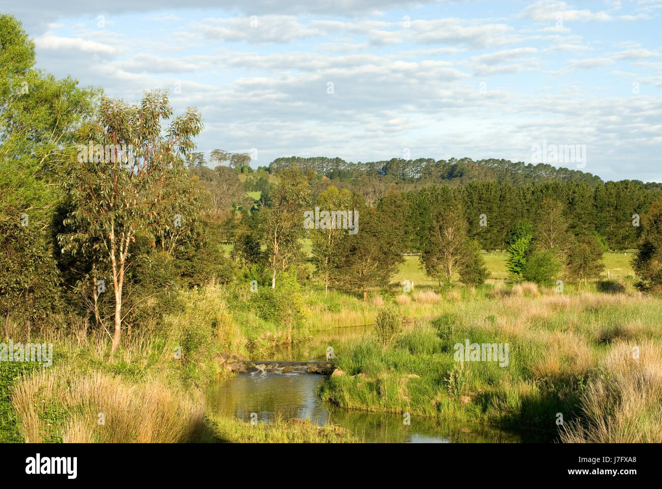 tree trees flow agriculture farming field stream australia watercourse ...