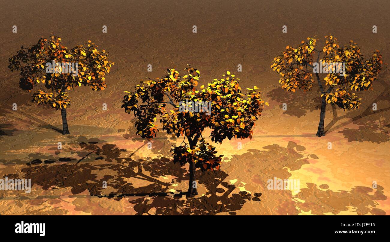 horizon flower flowers plant ecology colorful colors colours backdrop ...