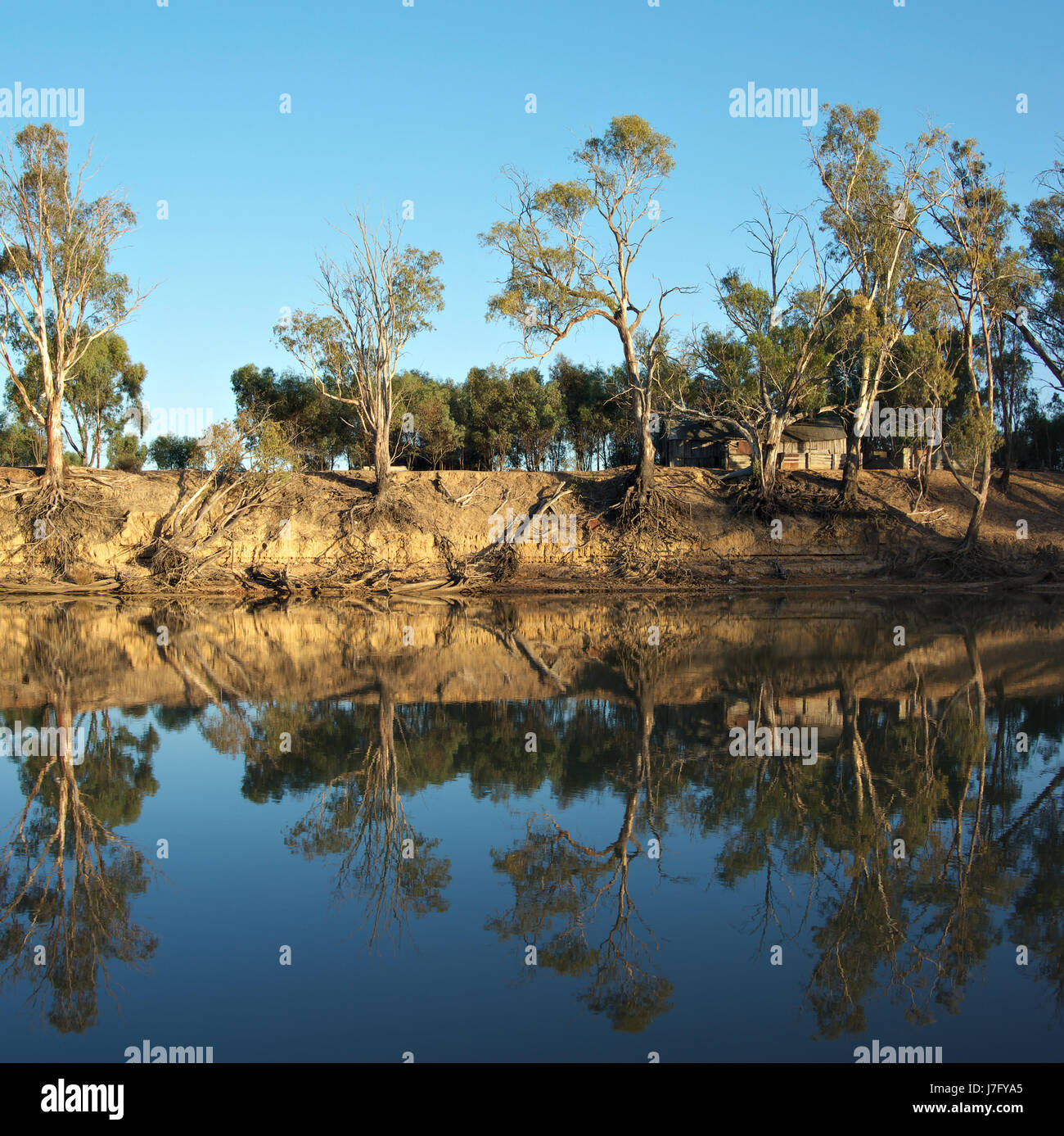house building environment enviroment tree trees wood reflection photo ...