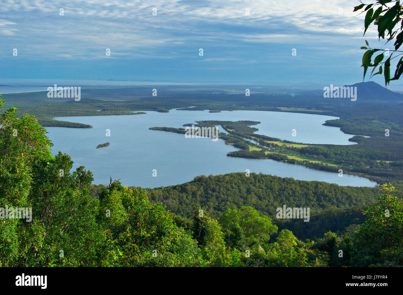 blue beautiful beauteously nice environment enviroment tree trees park ...