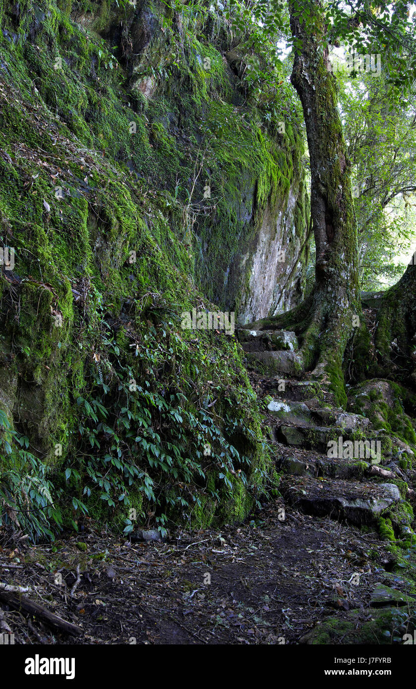 stairs environment enviroment wild photo camera globe planet earth ...