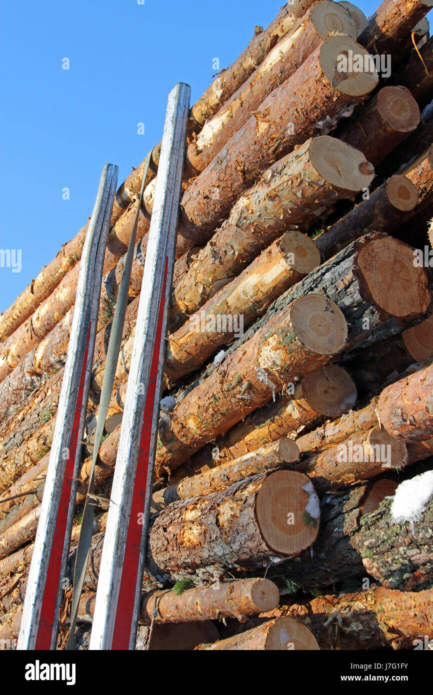 Pine pulpwood hi-res stock photography and images - Alamy