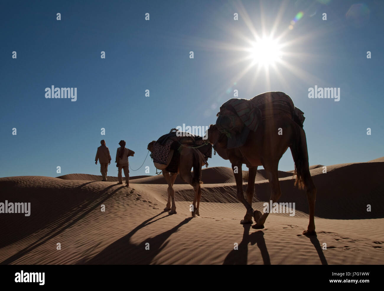 camel trekking through the desert Stock Photo - Alamy