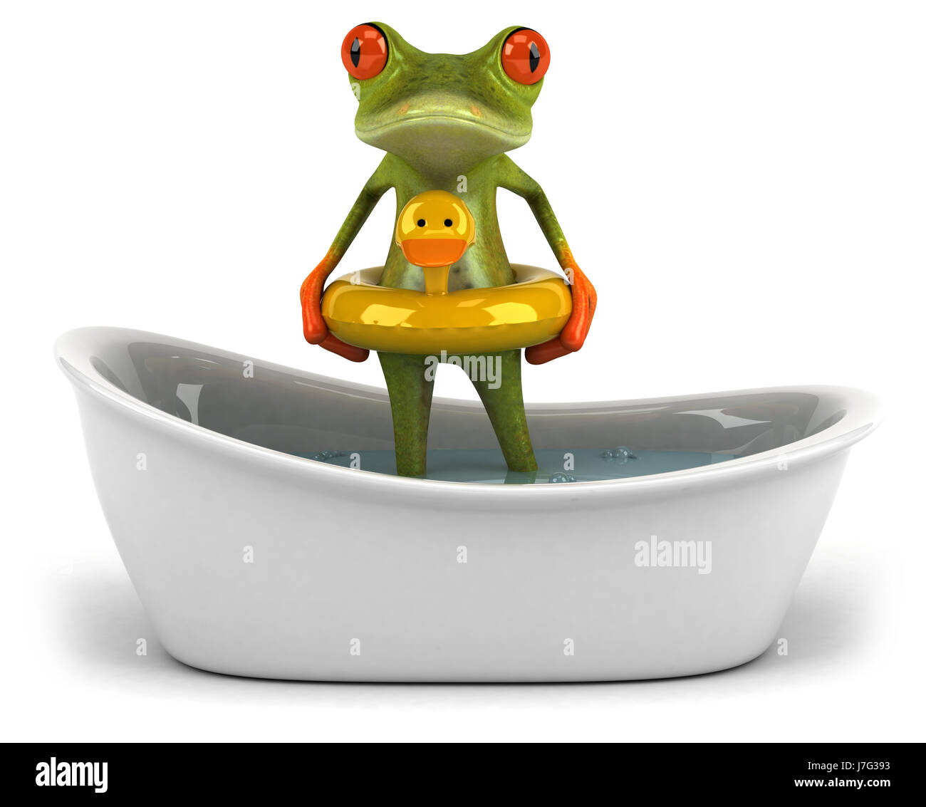environment enviroment animal frog ecology nature green environment ...