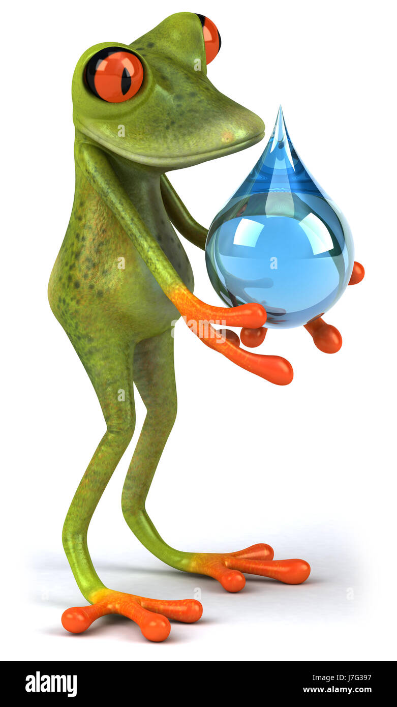 environment enviroment animal frog ecology nature green environment ...