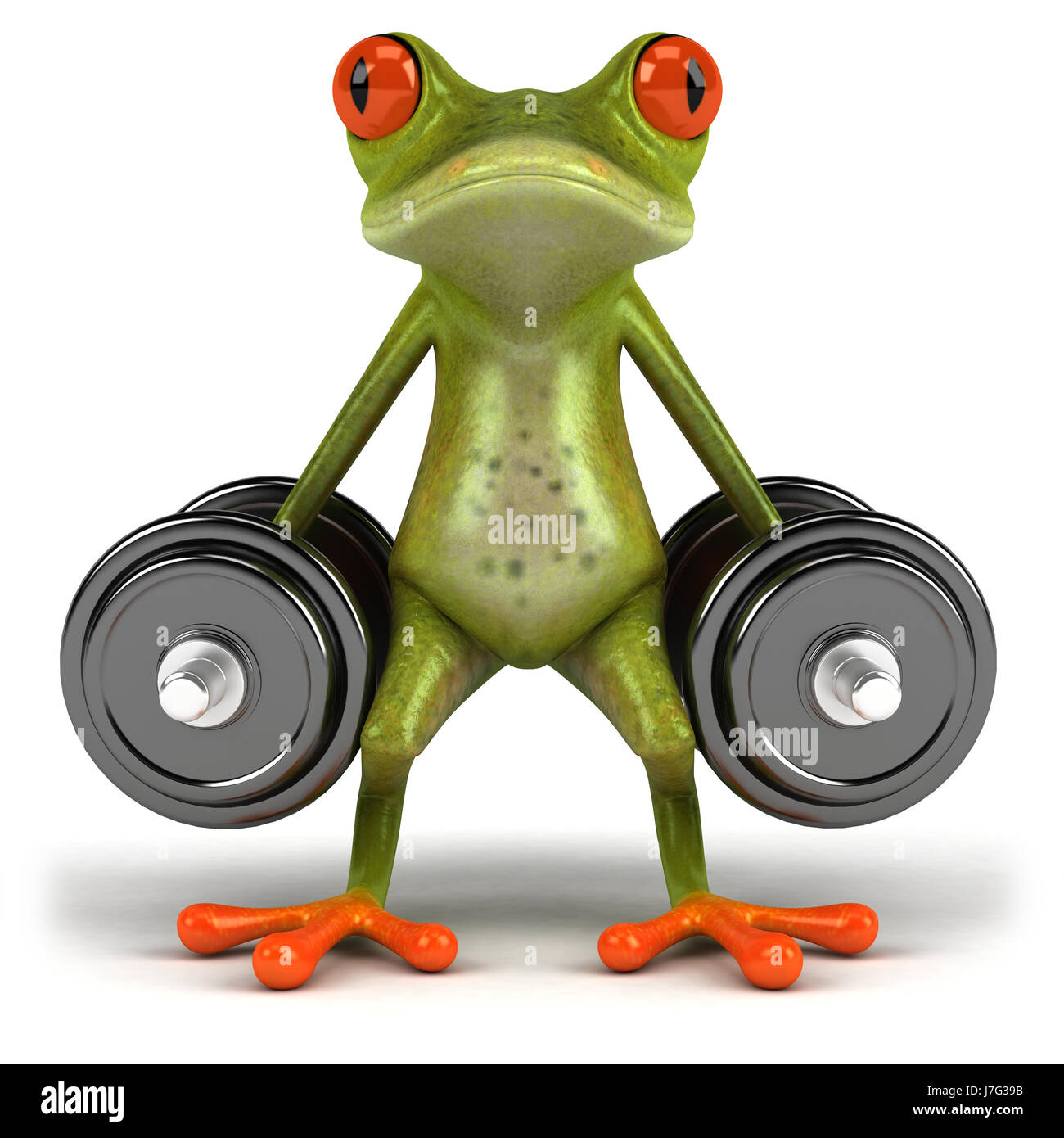 environment enviroment animal frog ecology nature green environment ...