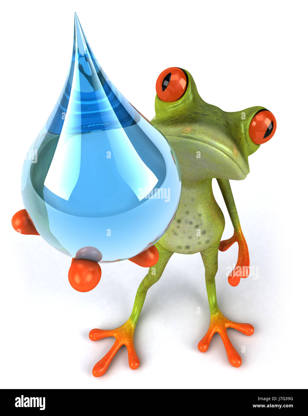 environment enviroment animal frog ecology nature green environment ...