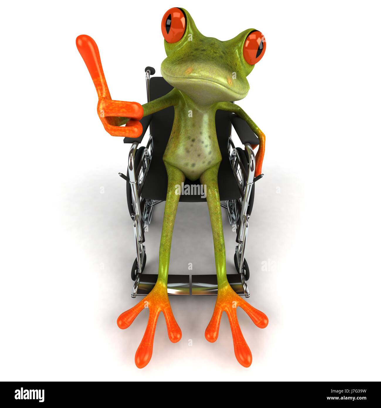 wheelchair animal frog ecology disability handicap nature green ...