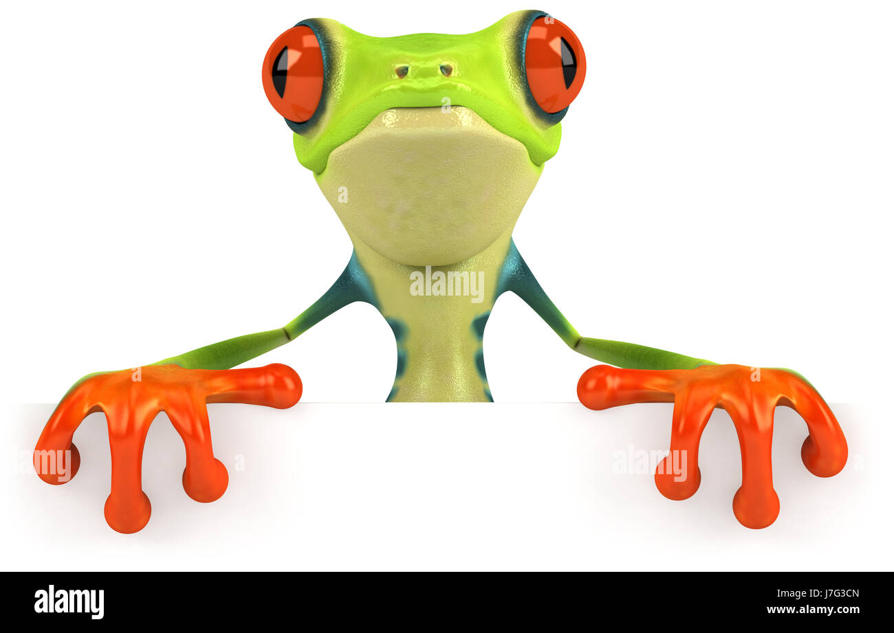 environment enviroment animal frog ecology toad nature green ...
