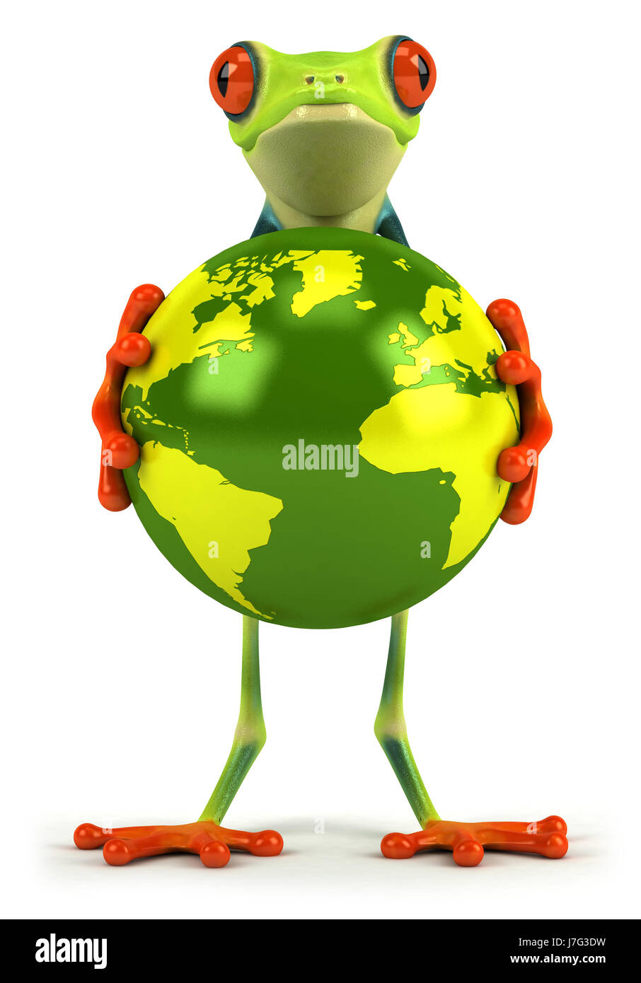 environment enviroment animal frog ecology toad nature green ...