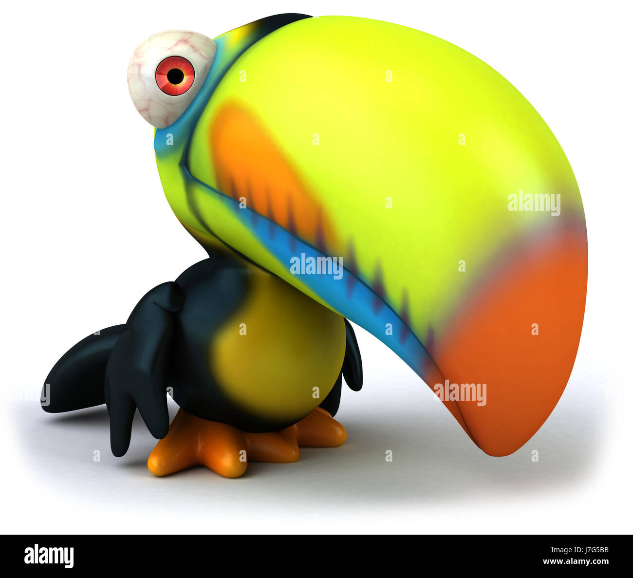animal bird green zoo tropical toucan nature colour tree animal bird ...