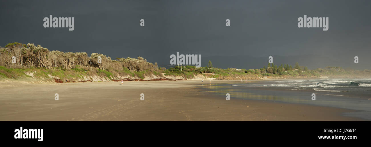 tree trees beach seaside the beach seashore waves australia sight view ...