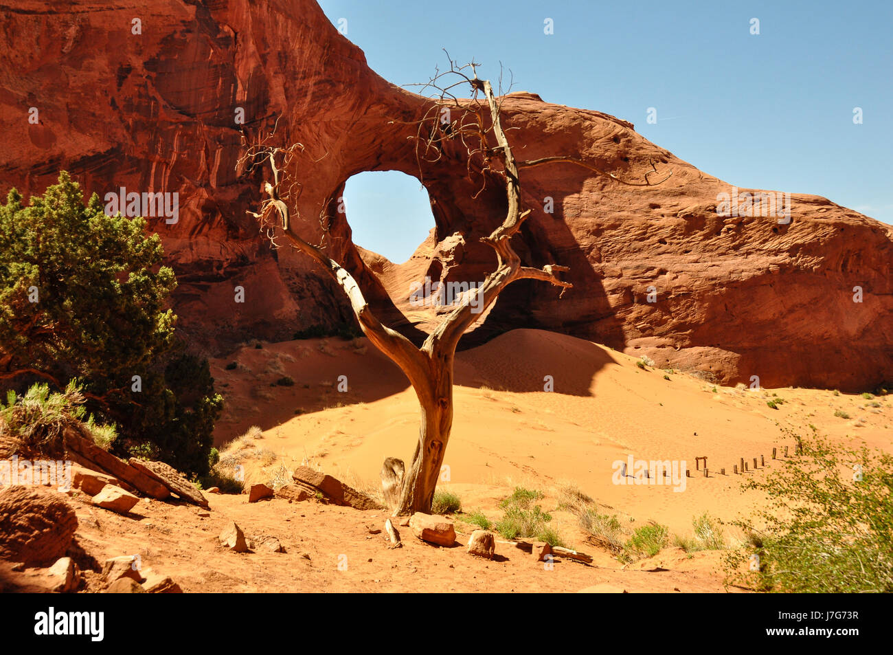 Tree framing arch hi-res stock photography and images - Alamy
