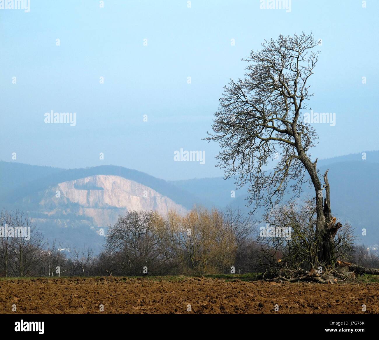 what was left of life Stock Photo - Alamy