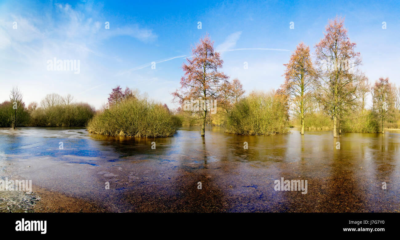 Hochwasserlandschaft hi-res stock photography and images - Alamy