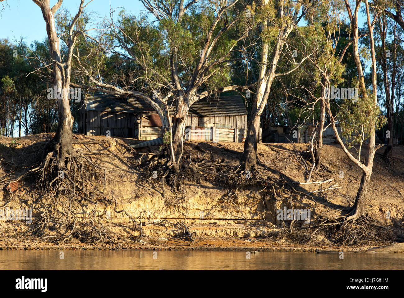 house building environment enviroment tree trees wood reflection photo ...