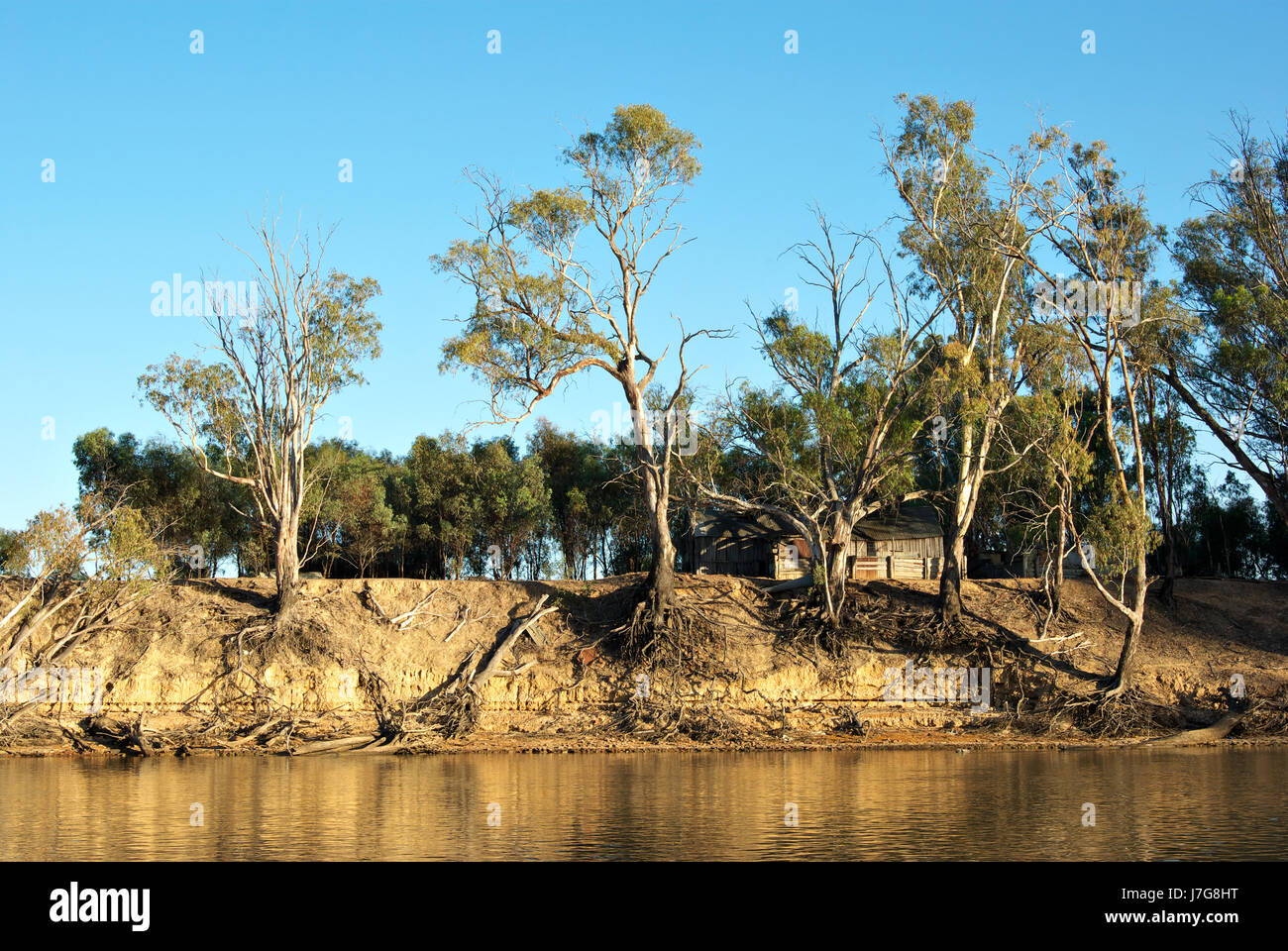 house building environment enviroment tree trees wood reflection photo ...