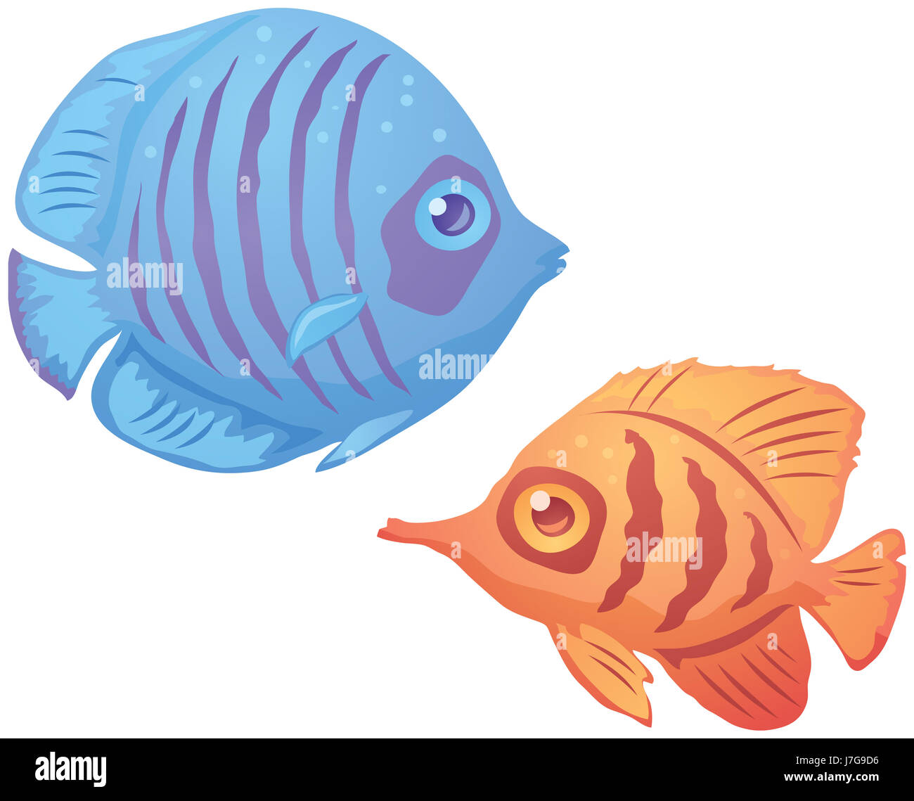 Sea life art hi-res stock photography and images - Alamy