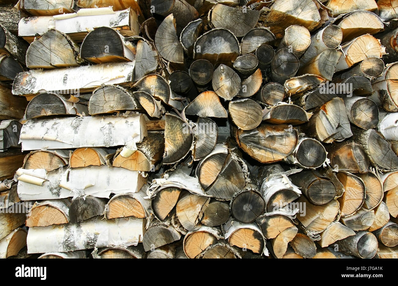 tree wood timber log nature tree winter wood black swarthy jetblack ...