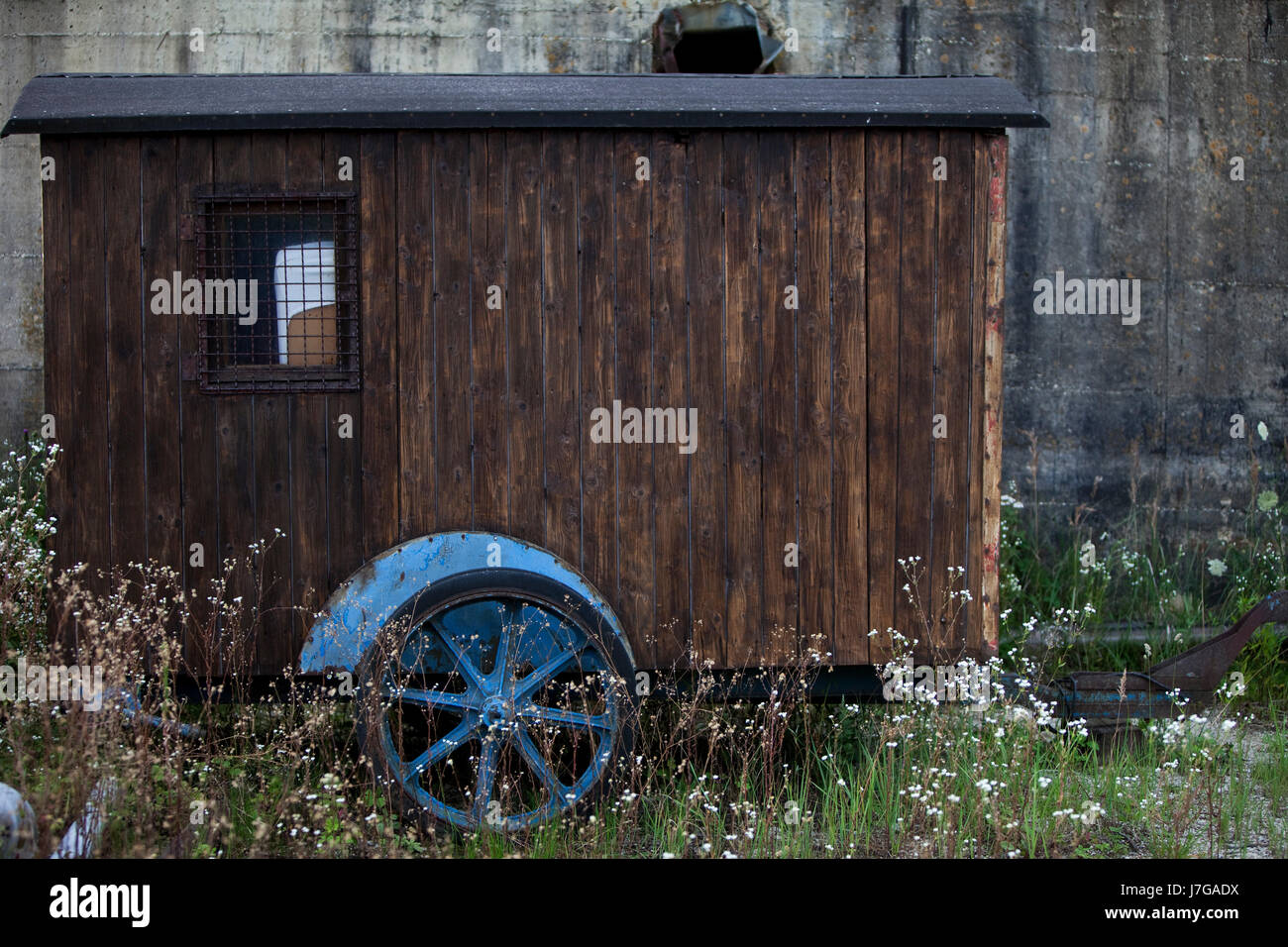 wood tyre tire tyres cart old blue wheel wood brown brownish brunette ...