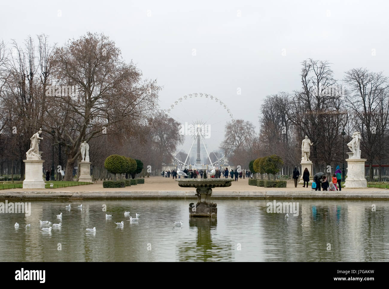 humans human beings people folk persons human human being big large ...