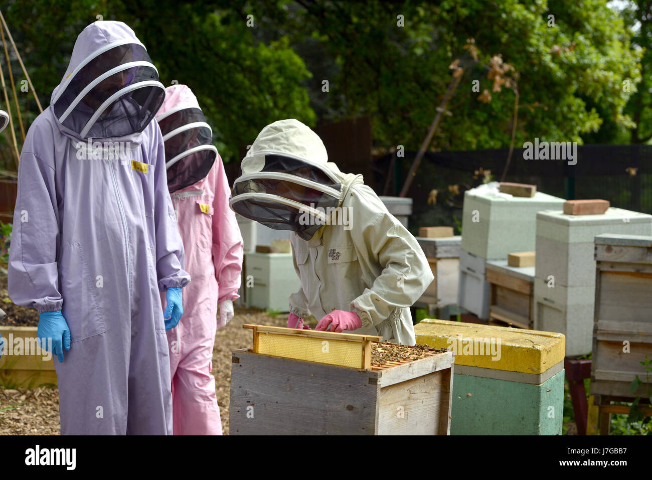 Kennington park london hi-res stock photography and images - Alamy