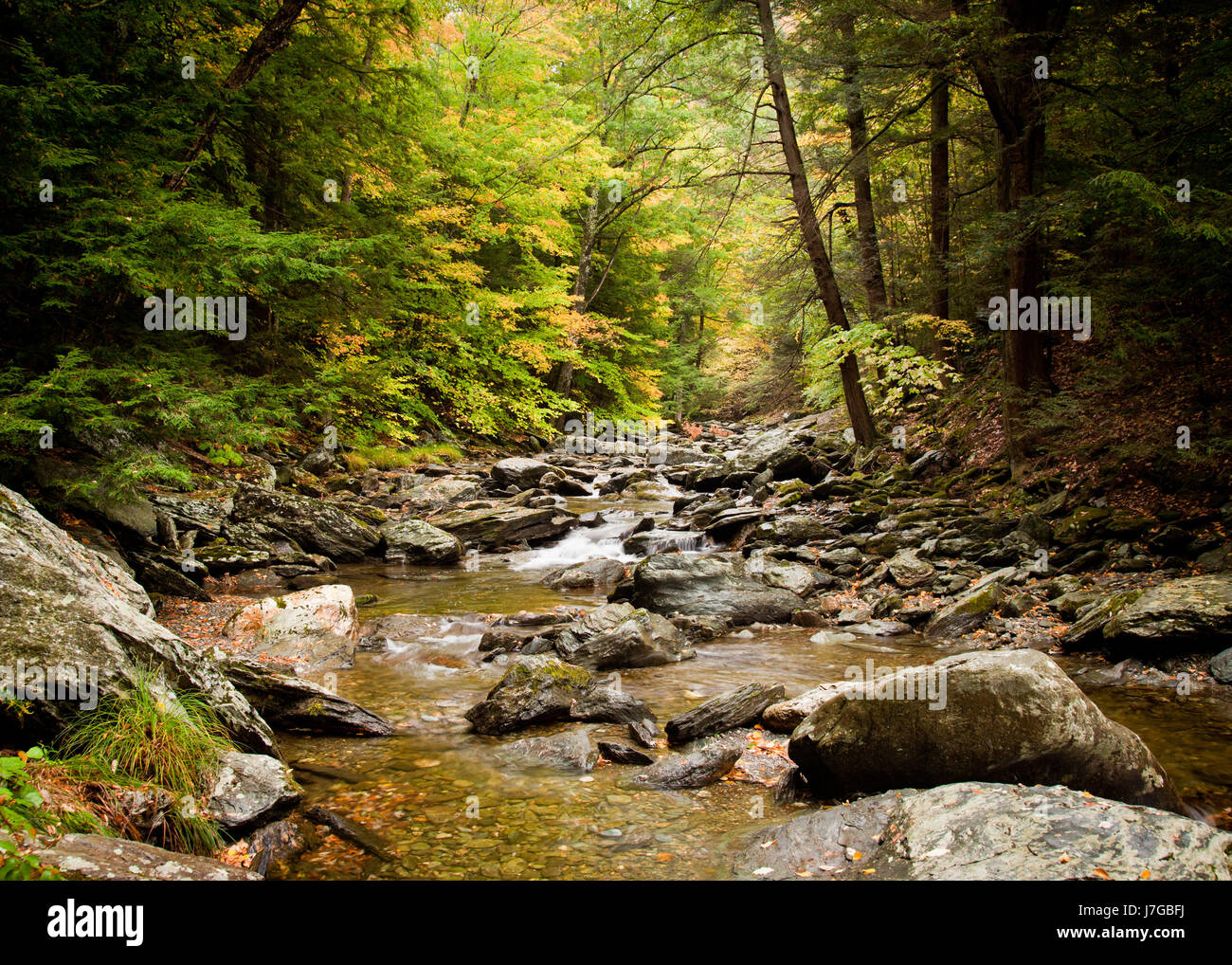 tree trees leaves waterfall falls foliage river water fall autumn ...